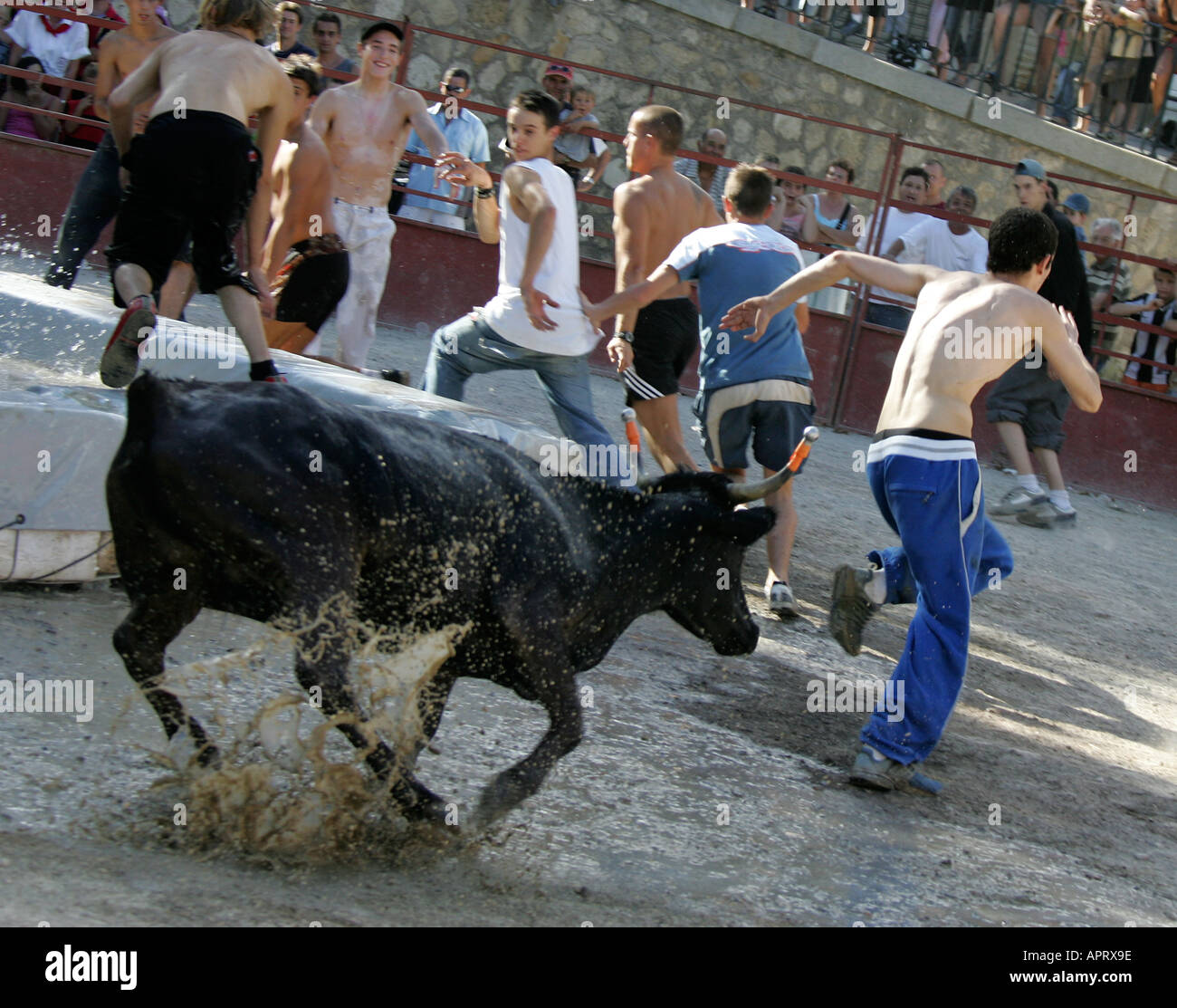 Man with bull hi-res stock photography and images - Alamy