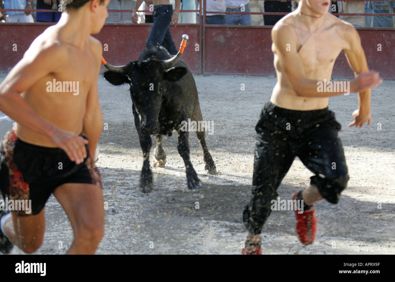 Carzy hi-res stock photography and images - Alamy