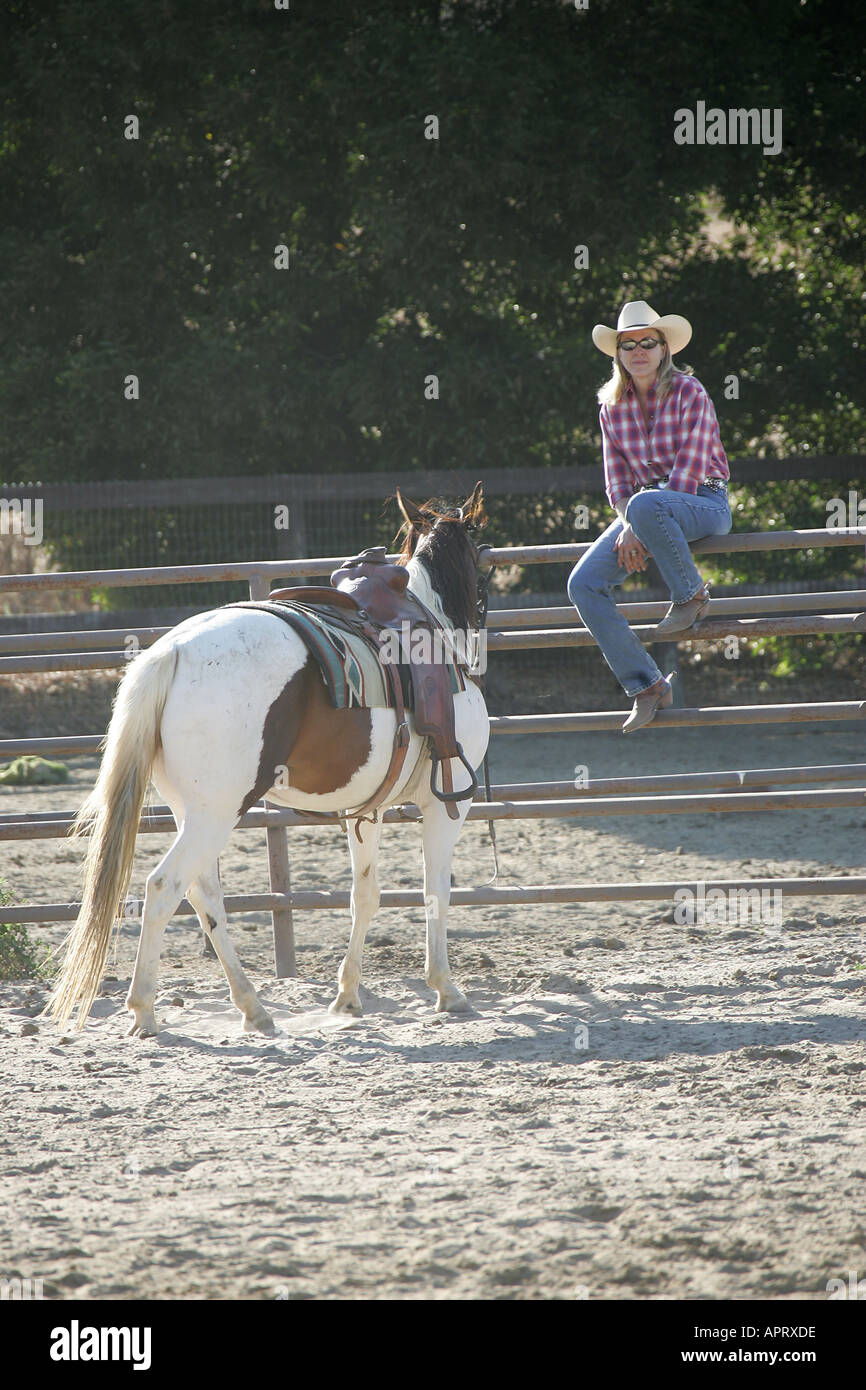 Cowgirl herding cattle hi-res stock photography and images - Alamy