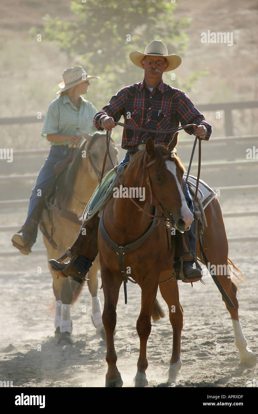 Cowgirl herding cattle hi-res stock photography and images - Alamy