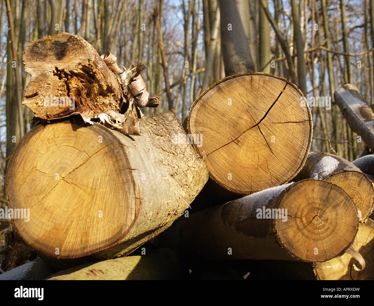 chopped wood logs firewood winter fuel grain Stock Photo - Alamy