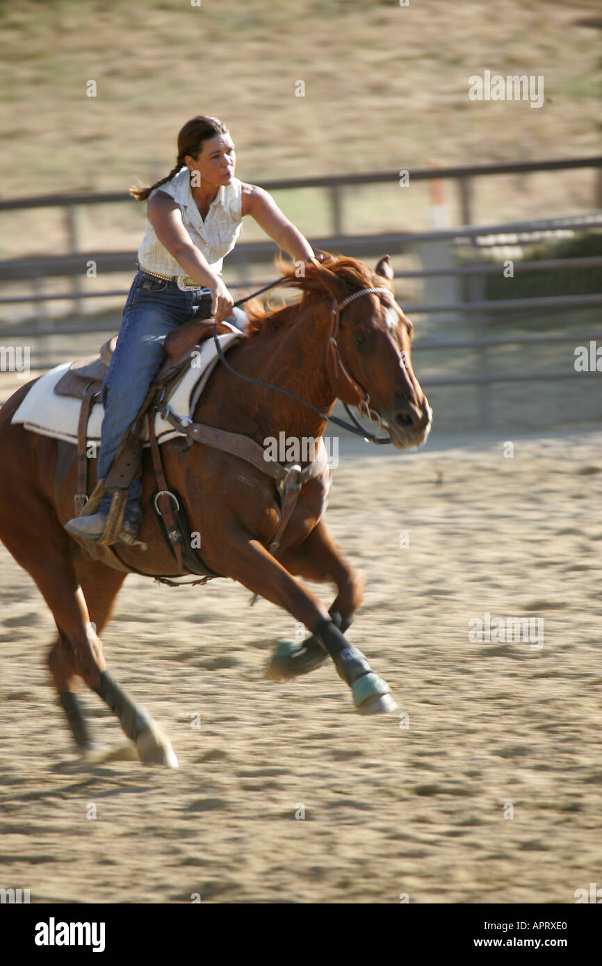 Cowgirl herding cattle hi-res stock photography and images - Alamy