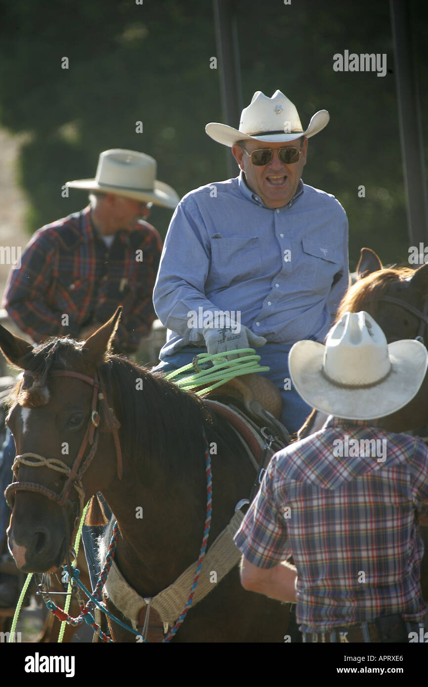 COWBOYS HERDING CATTLE,CALIFORNIA ,USA Stock Photo - Alamy