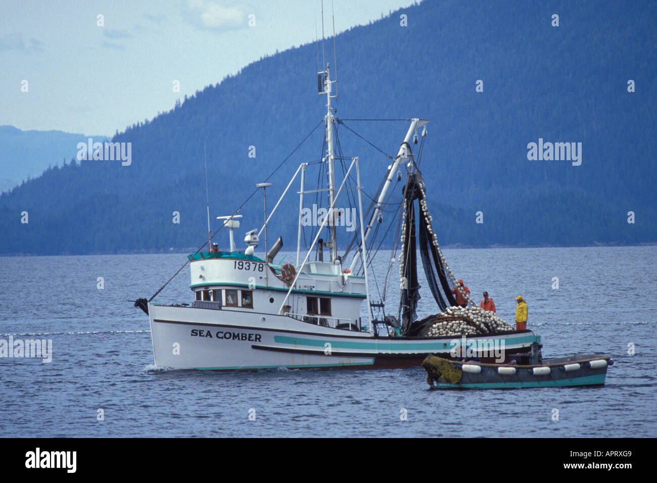 commercial fishing for chum salmon Oncorhynchus keta in Hidden Falls ...