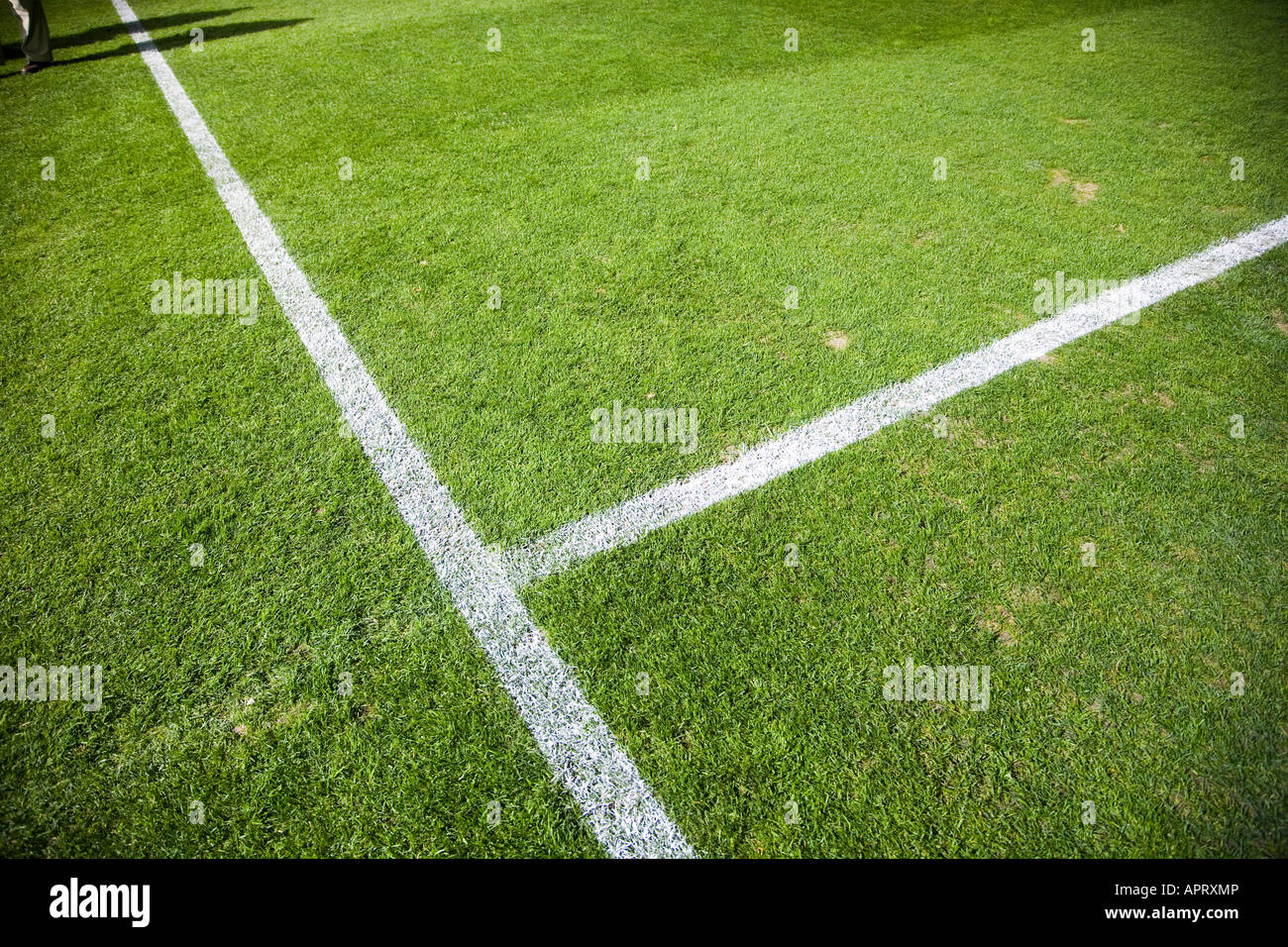 Halfway line and sideline of a football field Stock Photo - Alamy