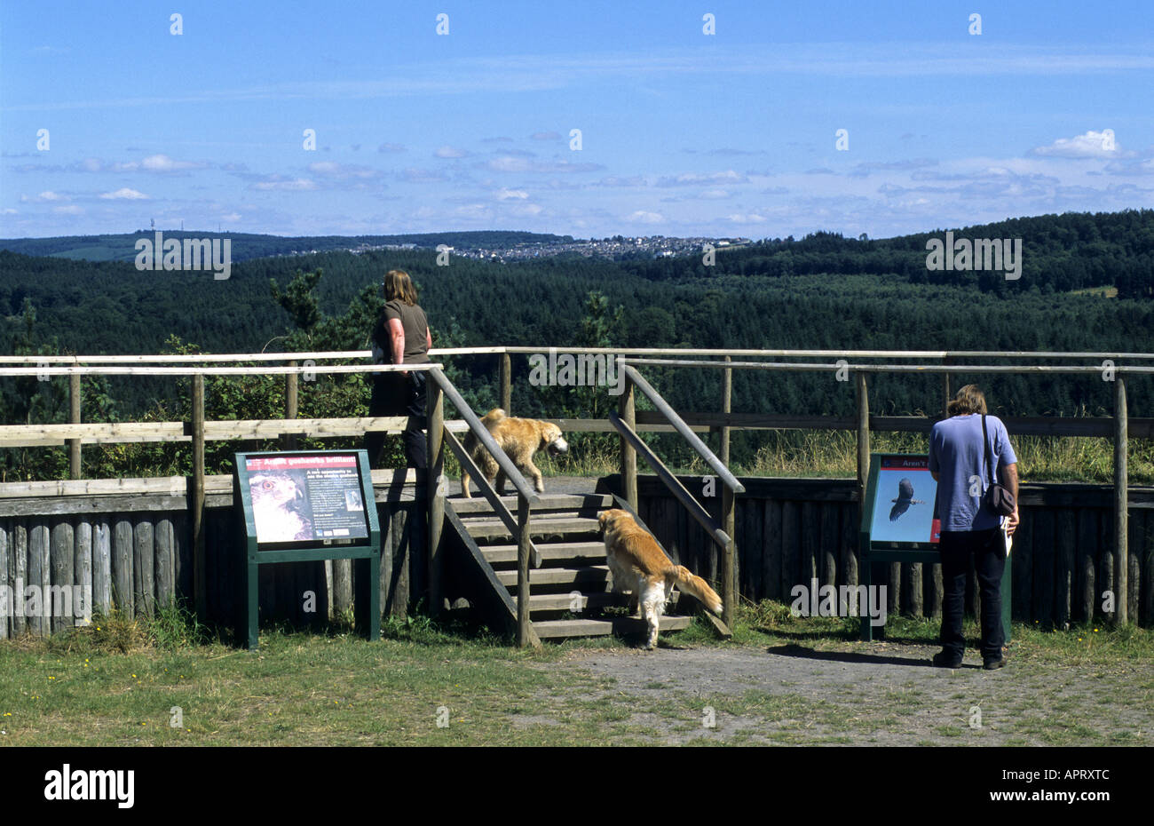 The lookout at New Fancy View, Forest of Dean, Gloucestershire, England ...