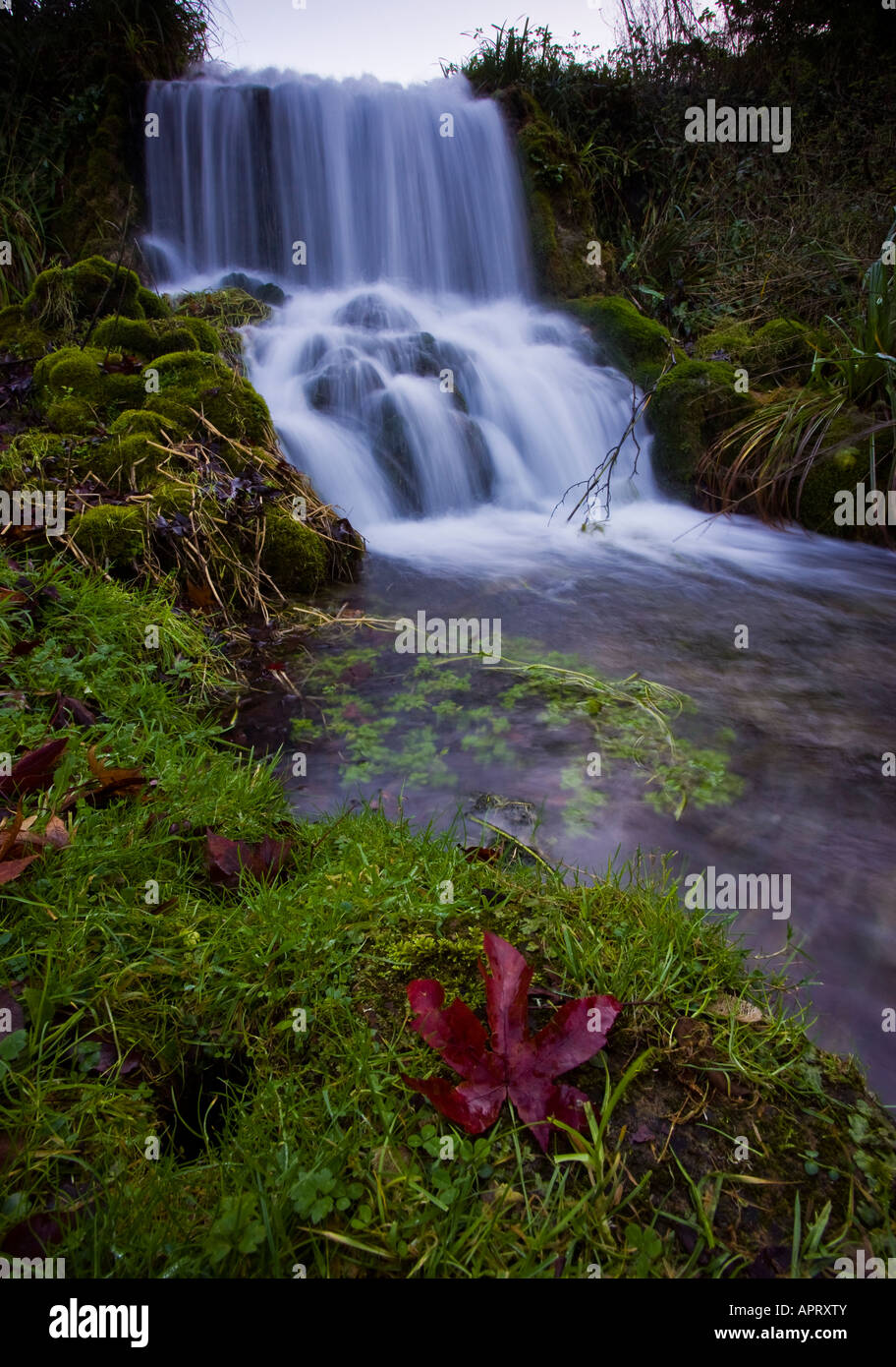 Waterfall at Bridehead, Little Bredy, Dorset, UK Stock Photo - Alamy
