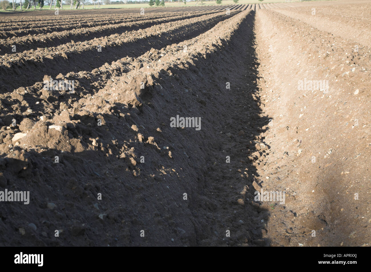 Furrows soil hi-res stock photography and images - Alamy