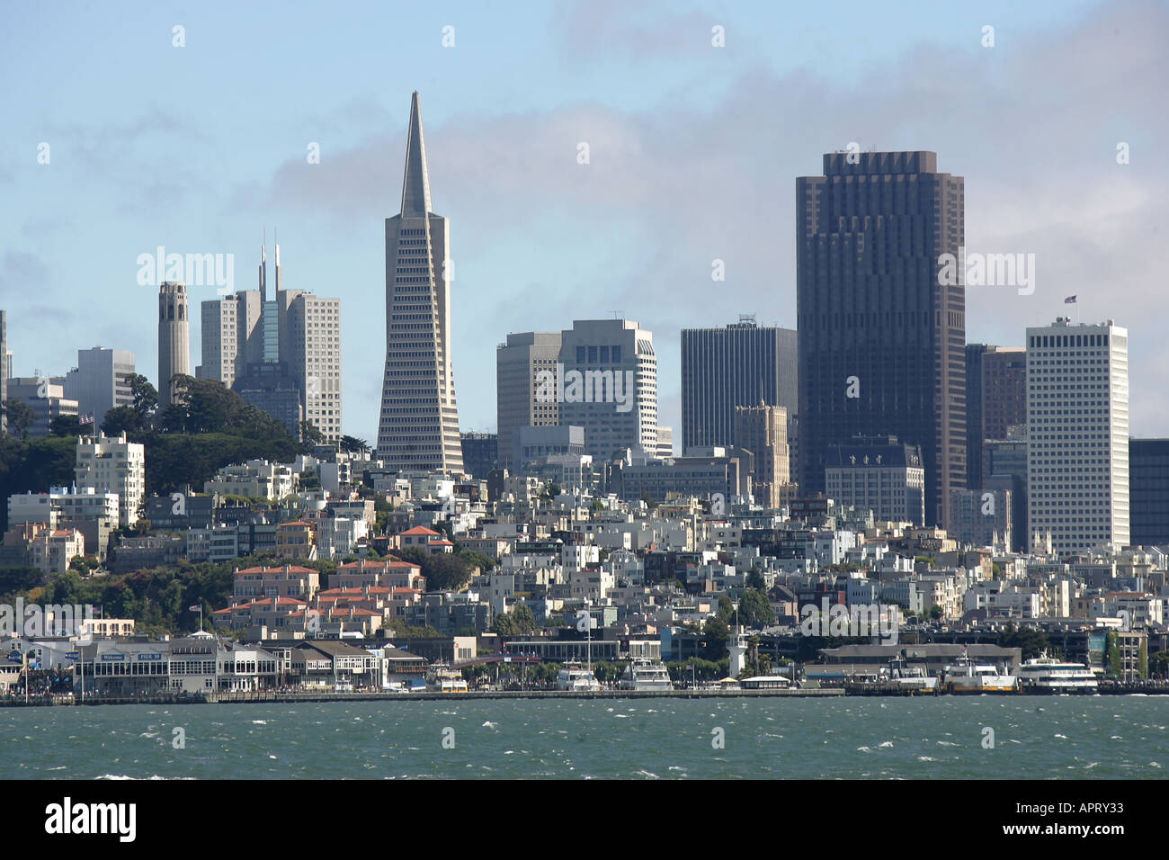 SAN FRANCISCO SKYLINE WITH TRANSAMERICA PYRAMID,CALIFORNIA,USA Stock ...
