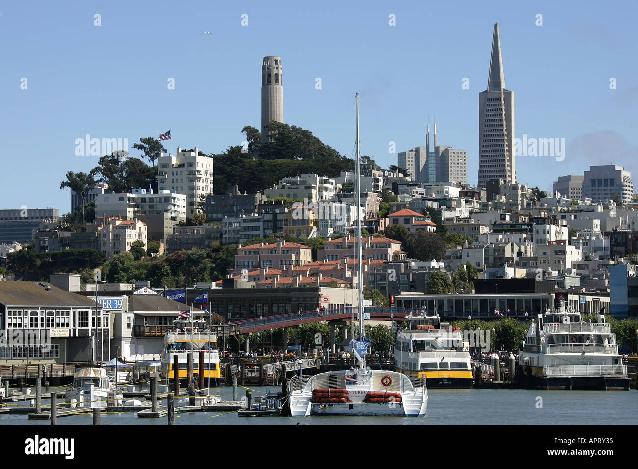 SAN FRANCISCO SKYLINE WITH TRANSAMERICA PYRAMID,SAN FRANCISCO ...