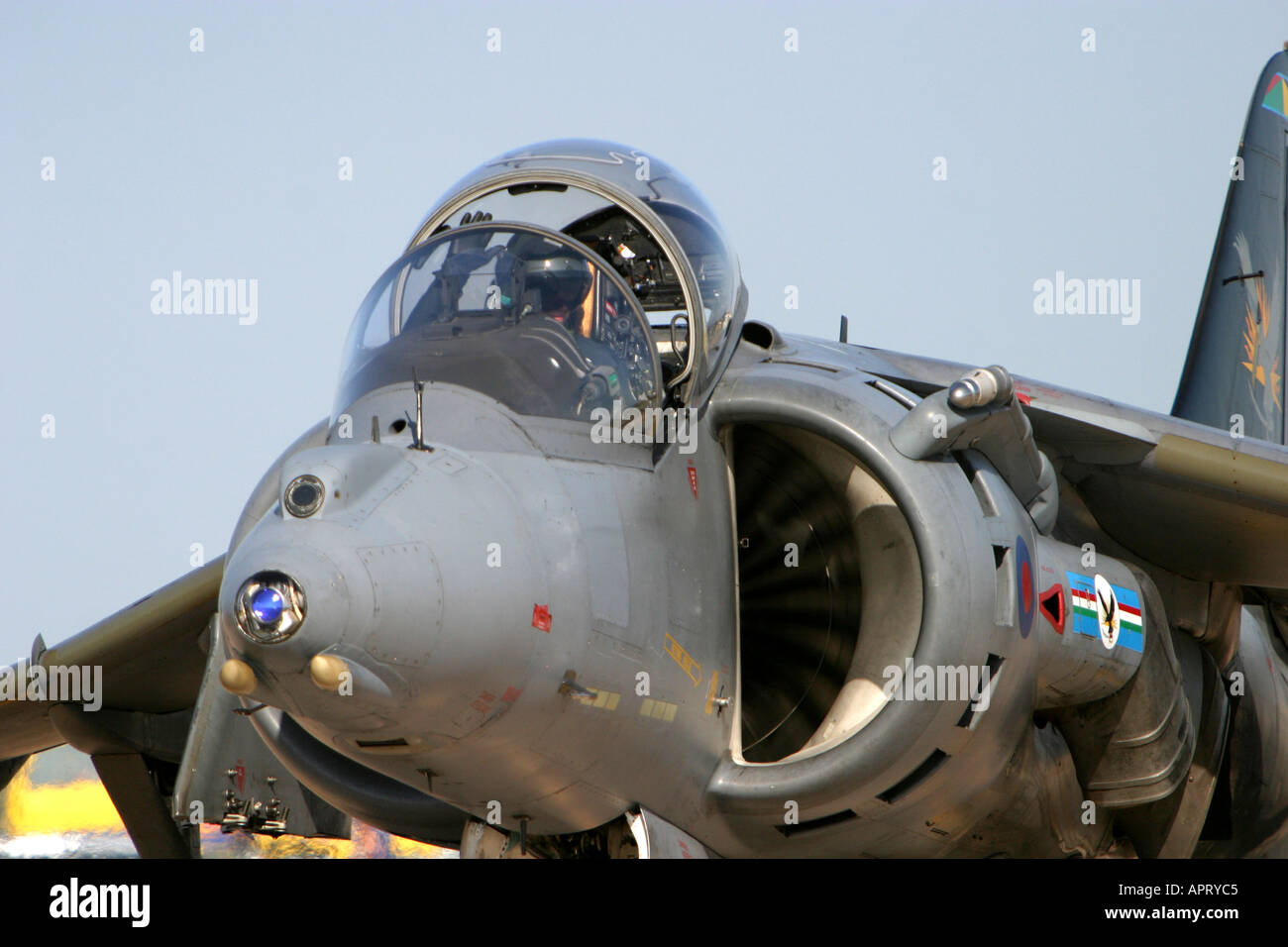 Harrier gr9 hi-res stock photography and images - Alamy