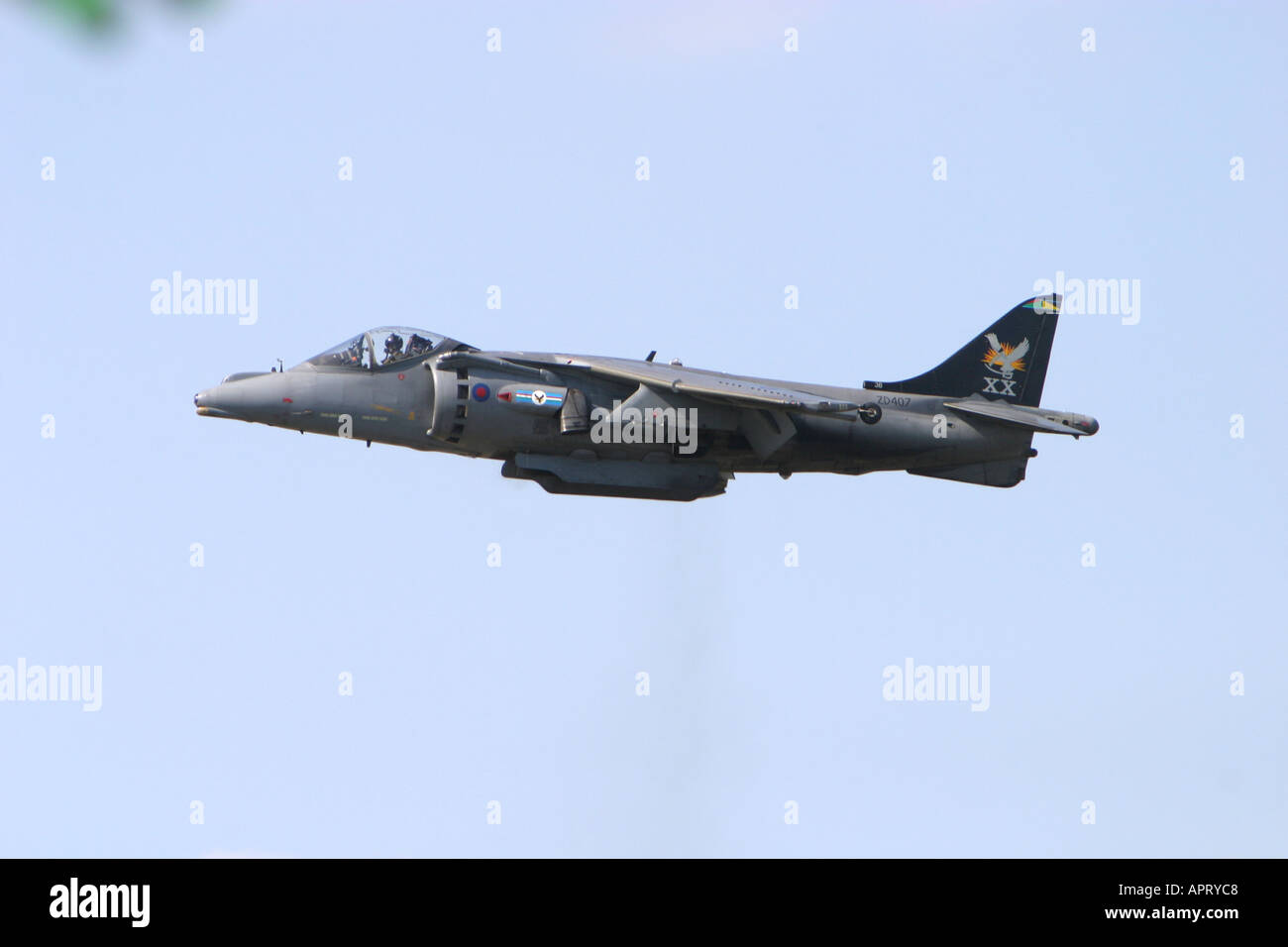 Harrier gr9 hi-res stock photography and images - Alamy