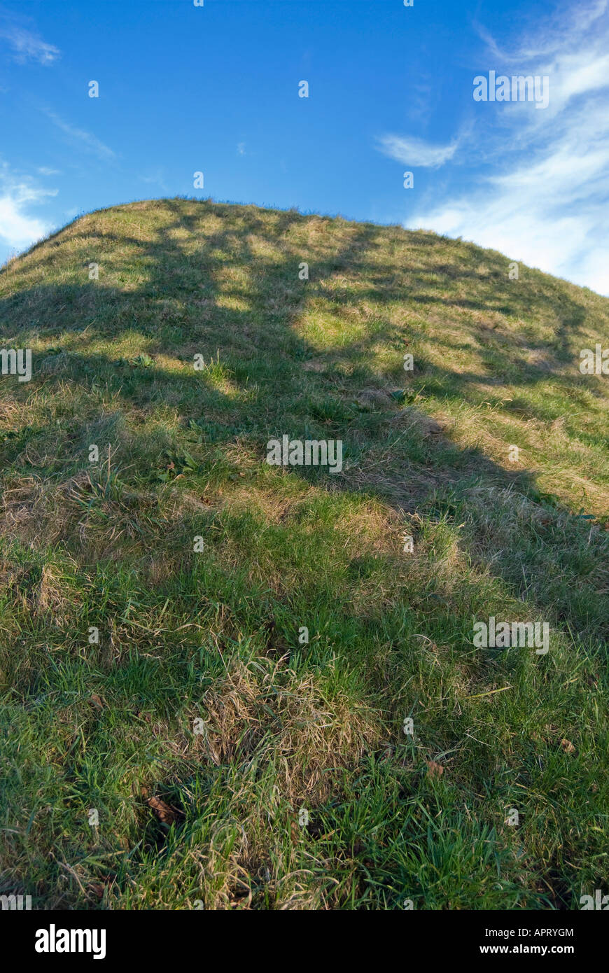 Tree casting shadow on hill hi-res stock photography and images - Alamy