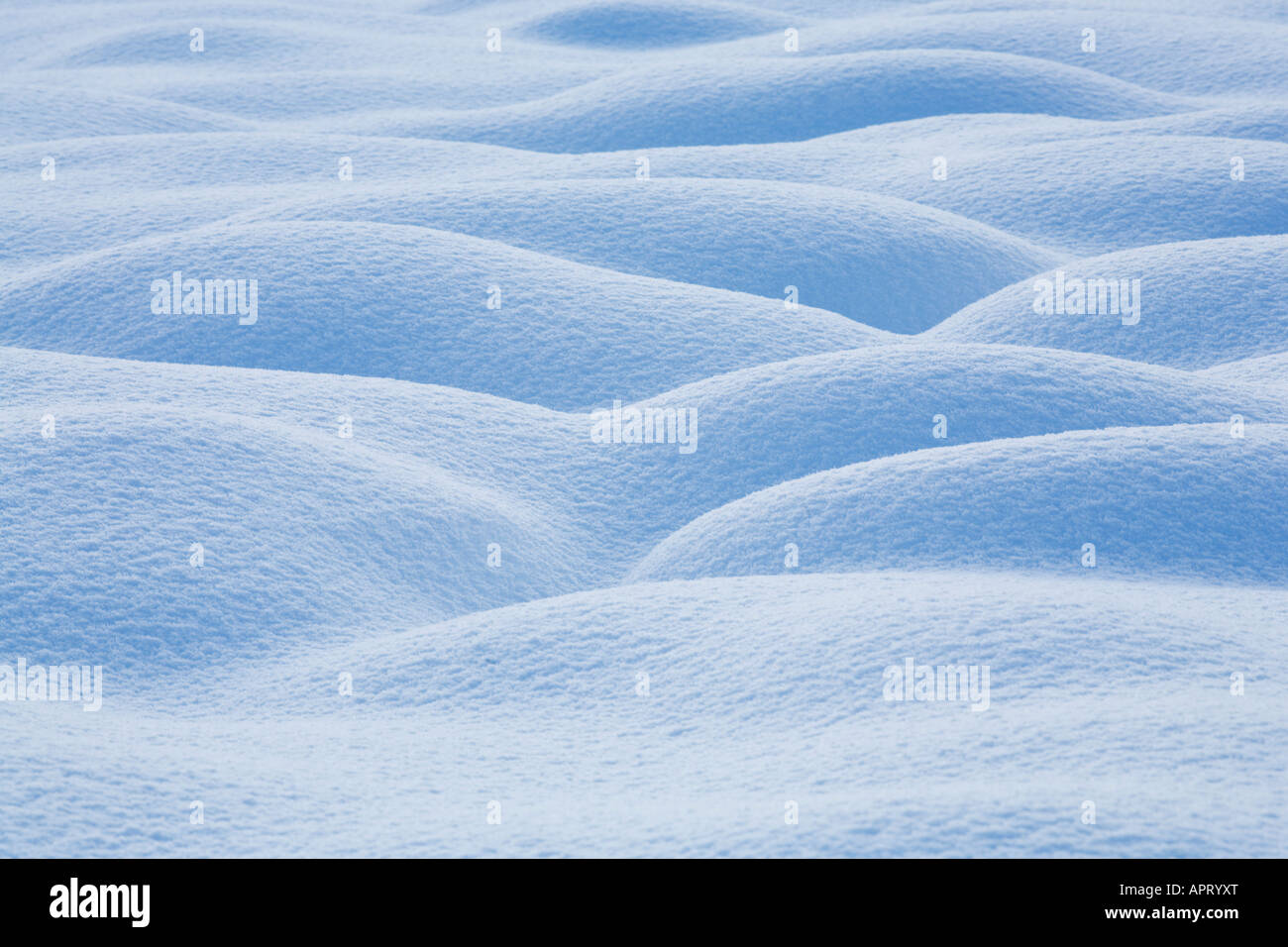 Abstract studies of hummocks of snow in the woods near Jukkasjärvi in ...
