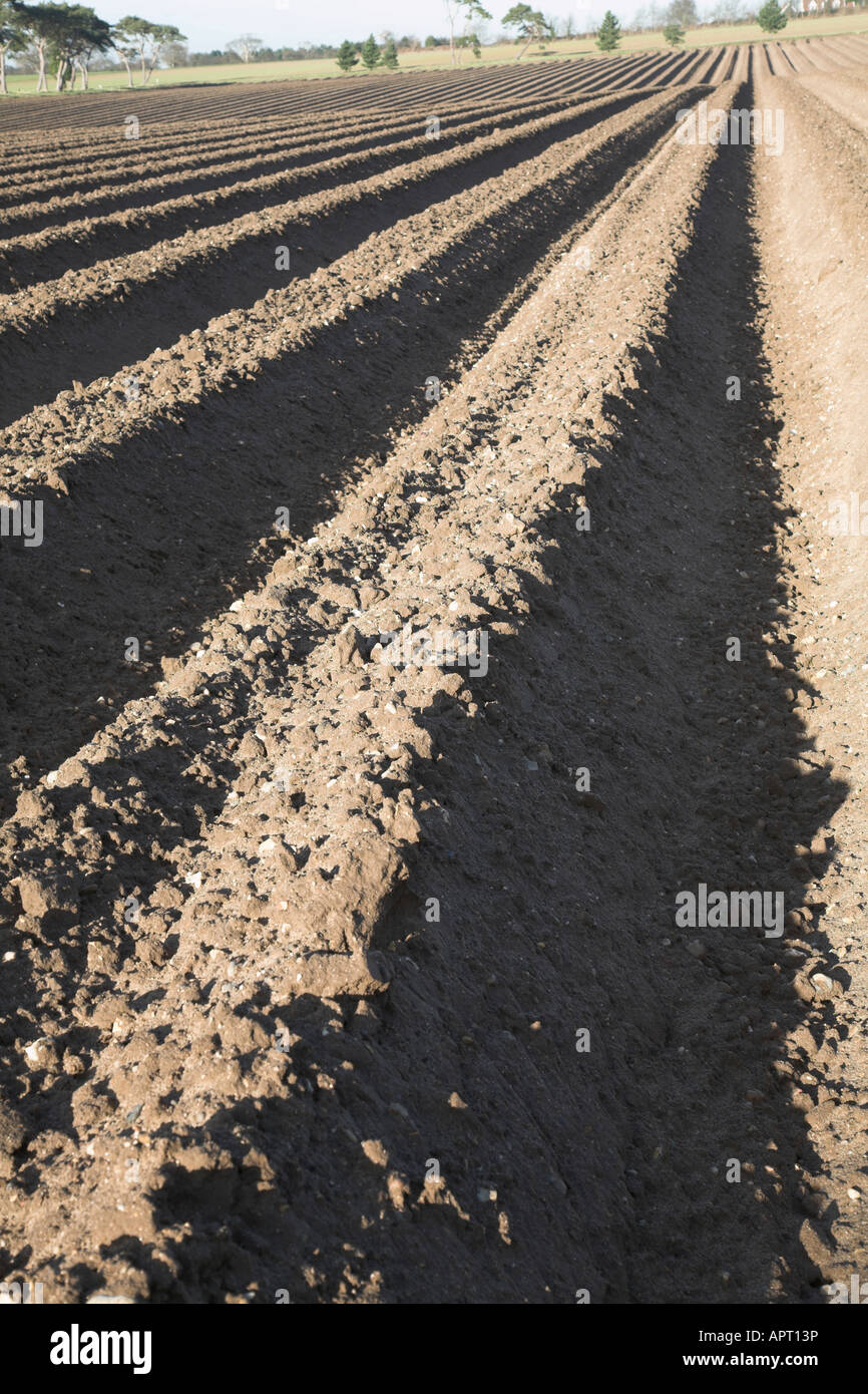Deep furrows hi-res stock photography and images - Alamy