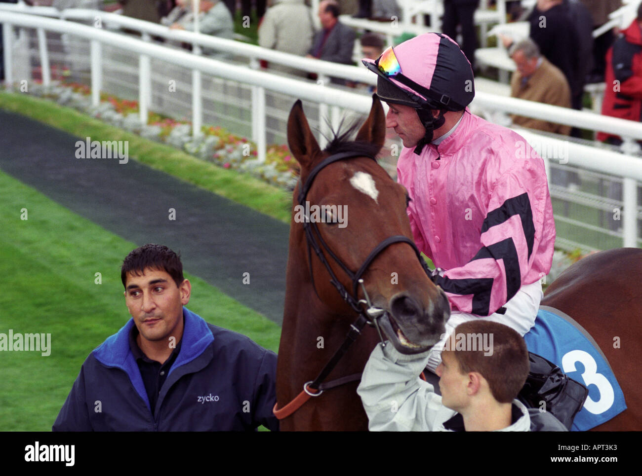 Jockey in pink silks on horse at York Races Stock Photo - Alamy