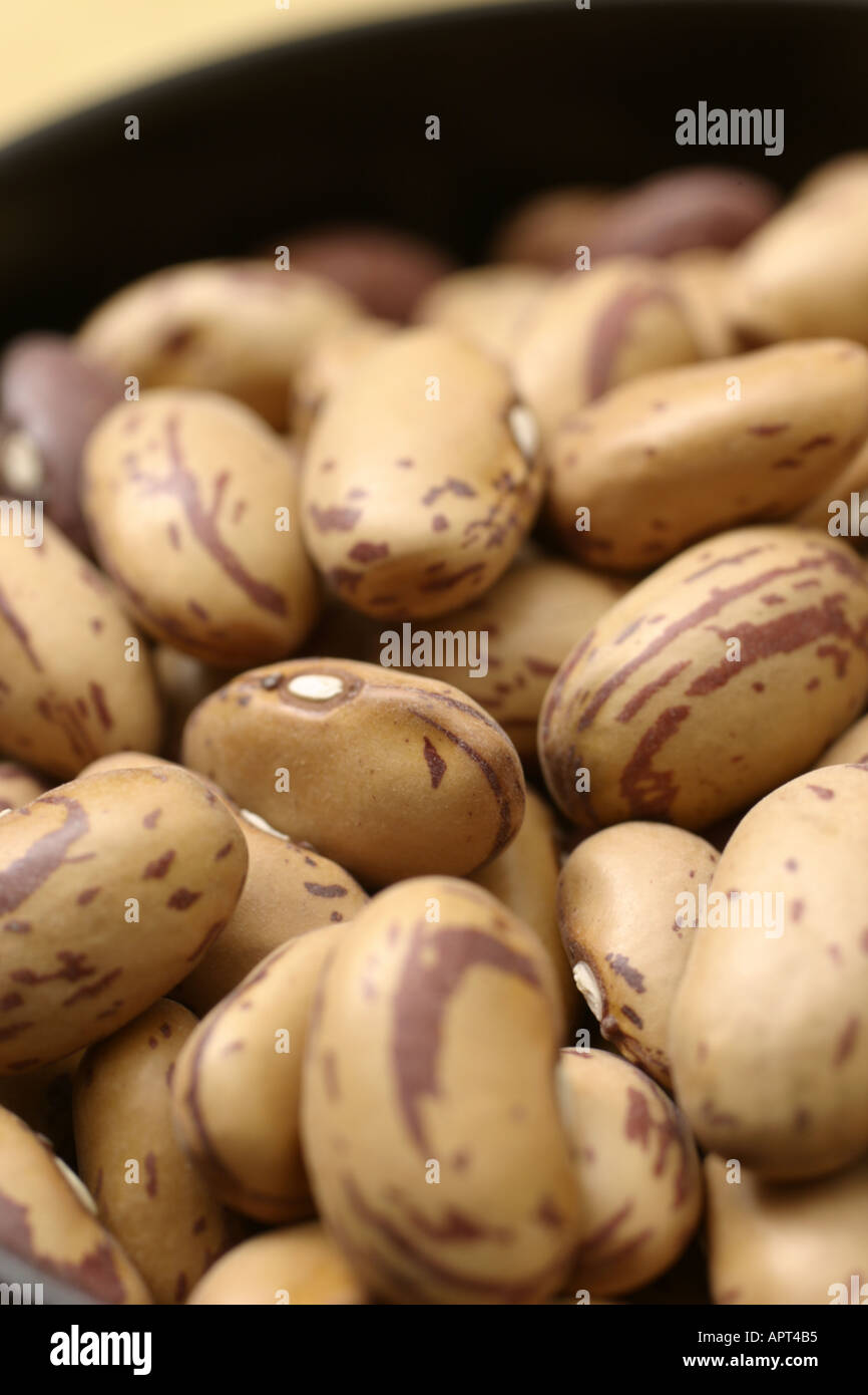 Borlotti beans in cup hi-res stock photography and images - Alamy