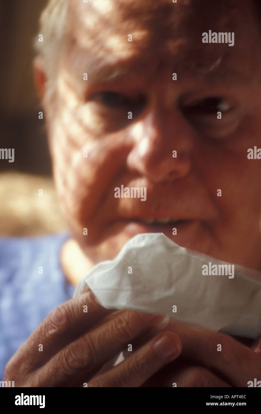 Sick Sniffles Sniff High Resolution Stock Photography and Images - Alamy