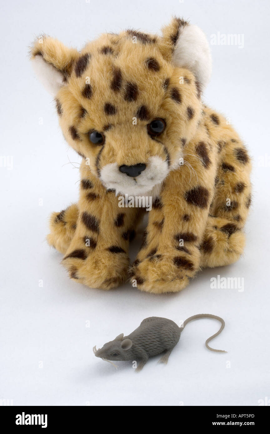 Toy cheetah hi-res stock photography and images - Alamy
