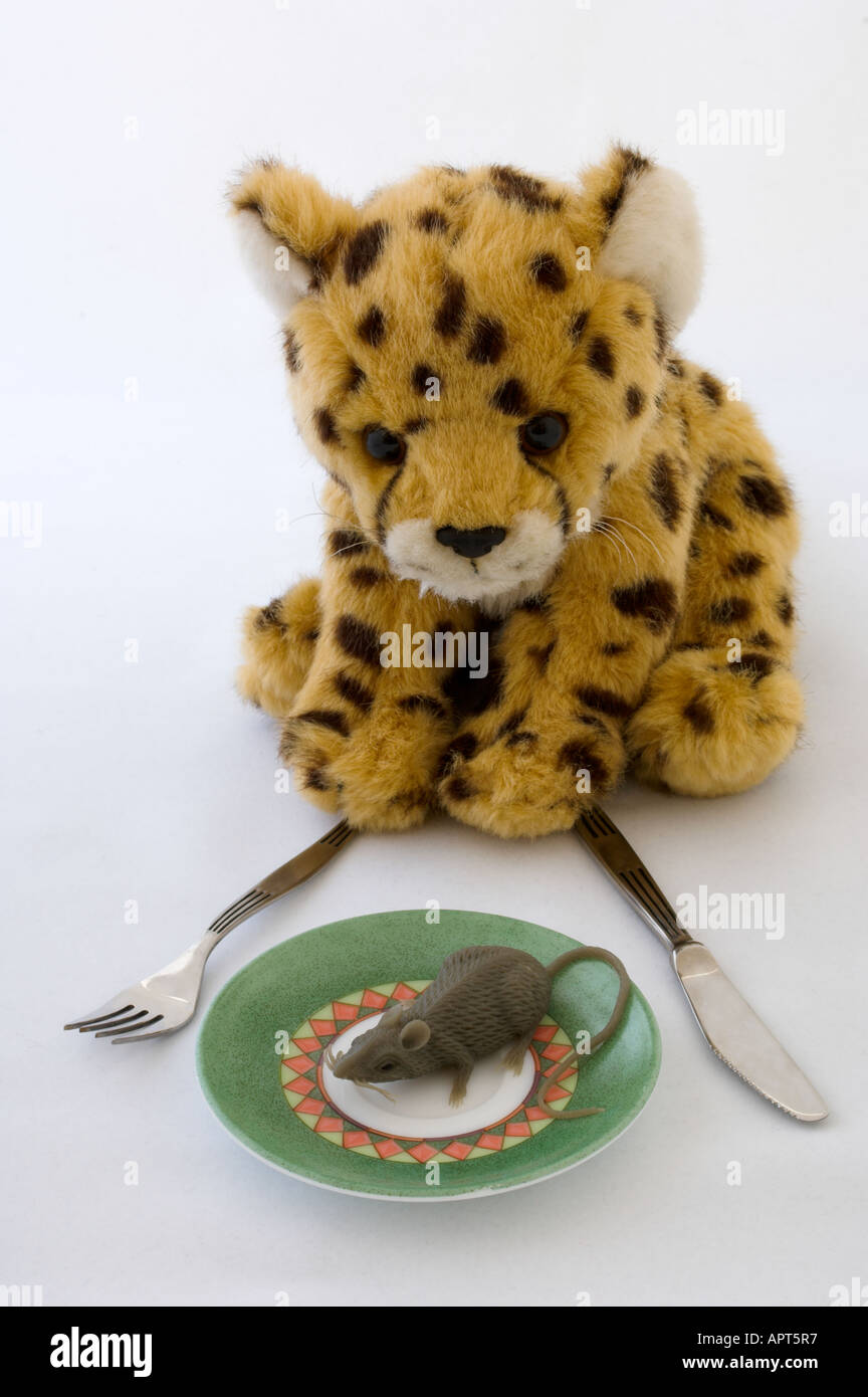 Toy cheetah hi-res stock photography and images - Alamy