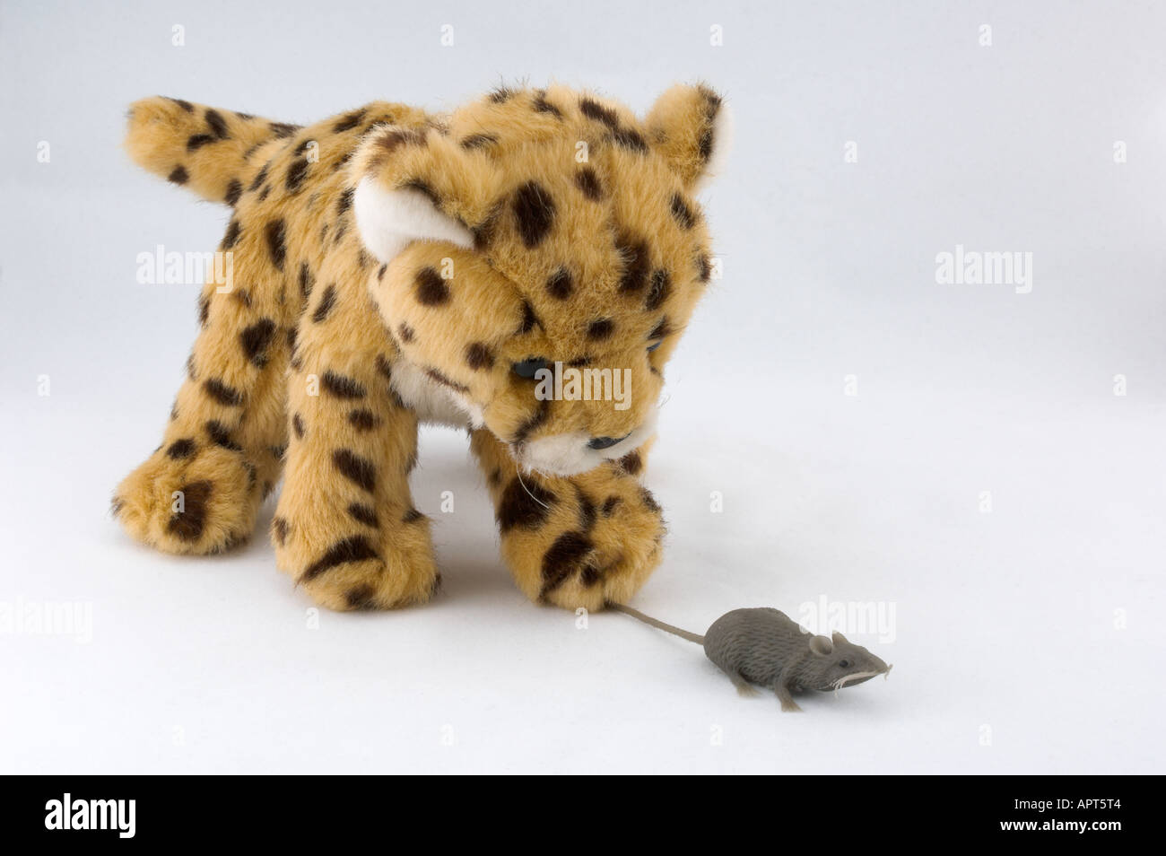 Toy cheetah hi-res stock photography and images - Alamy
