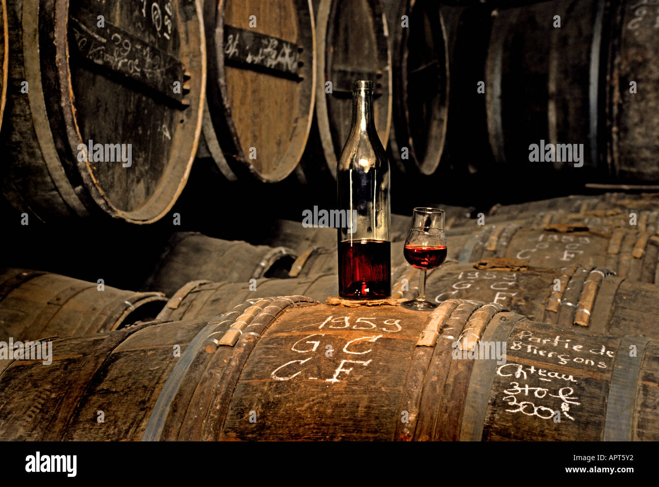 France Cognac Distillery Cellar Cask Barrel Stock Photo - Alamy