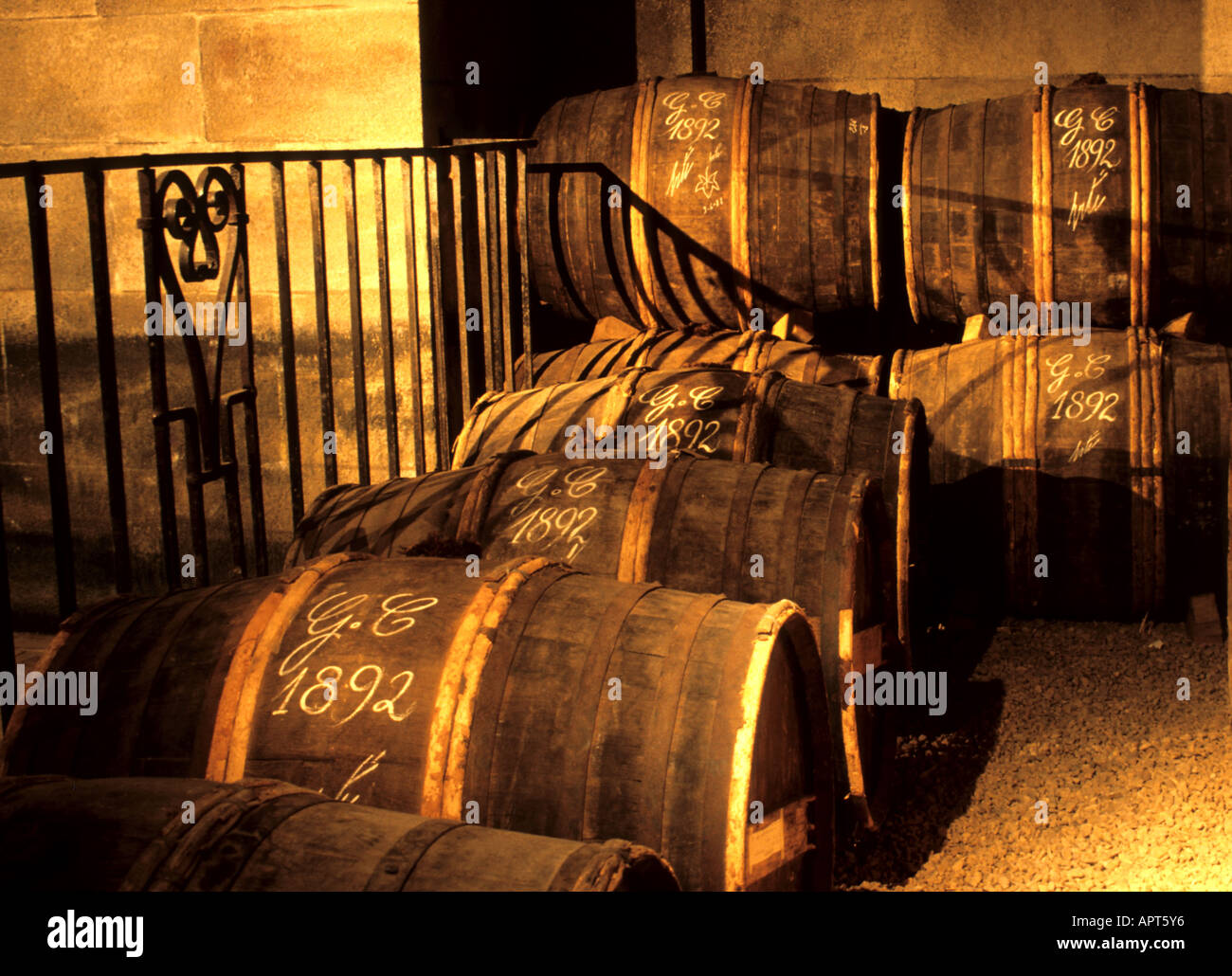 Cognac distillery cellar cask hi-res stock photography and images - Alamy