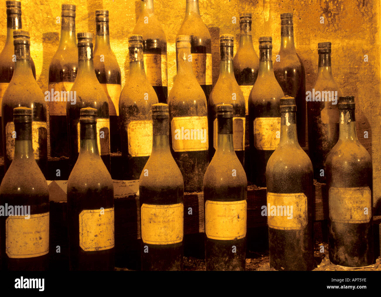 France Cognac Distillery Cellar Cask Barrel Stock Photo - Alamy