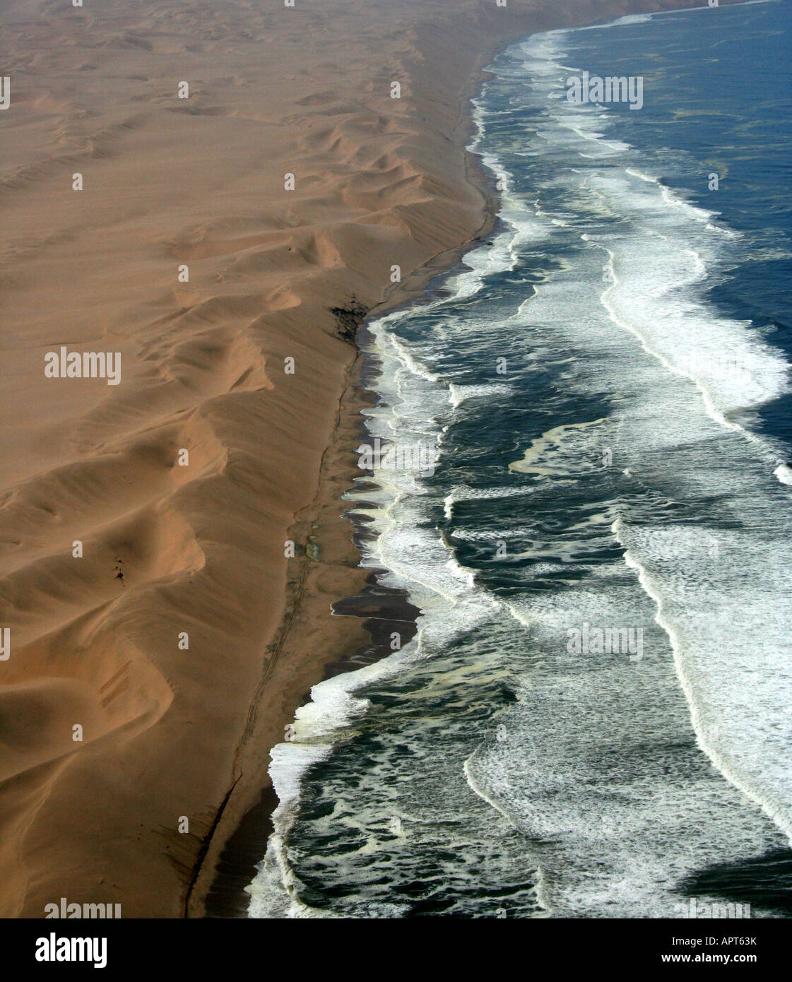 Dunedin star hi-res stock photography and images - Alamy