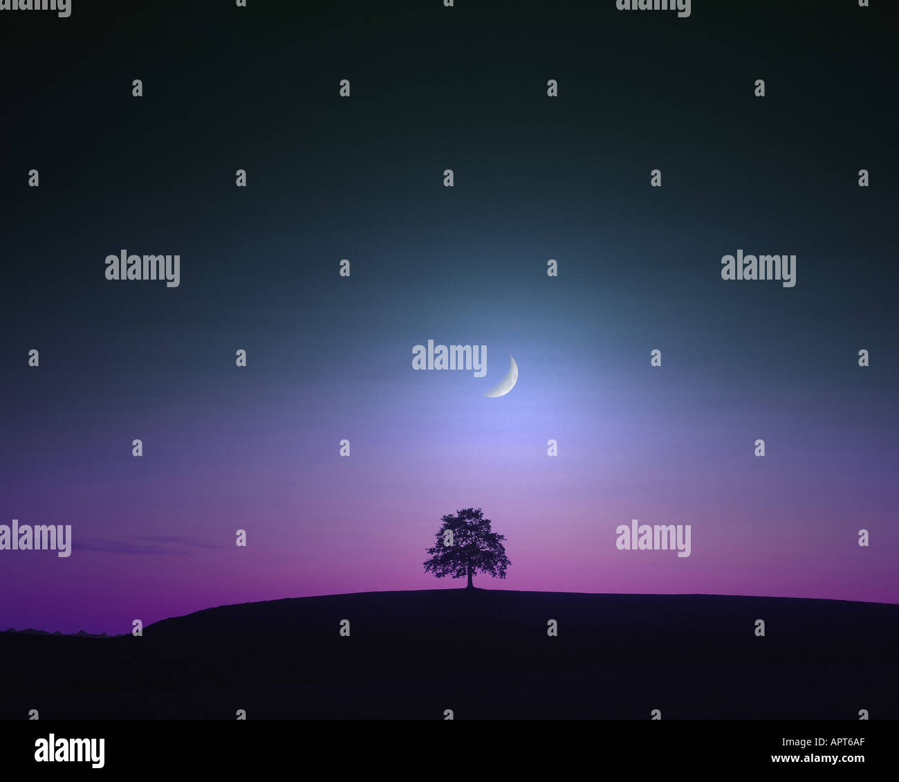 Single moon hi-res stock photography and images - Alamy