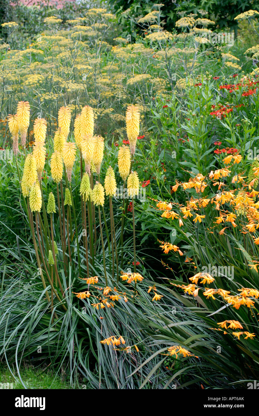 Mid august hi-res stock photography and images - Alamy