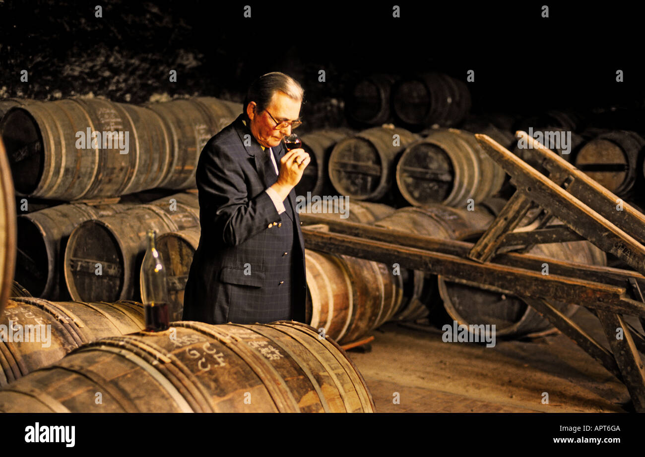 France Cognac Distillery Cellar Cask Barrel Stock Photo - Alamy