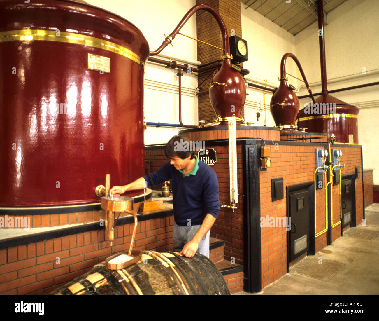 Cognac distillery cellar cask hi-res stock photography and images - Alamy