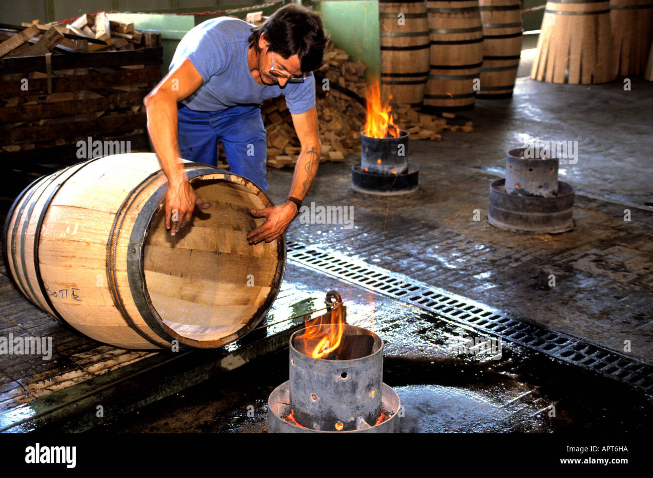 France Cognac Distillery Cellar Cask Barrel Stock Photo - Alamy