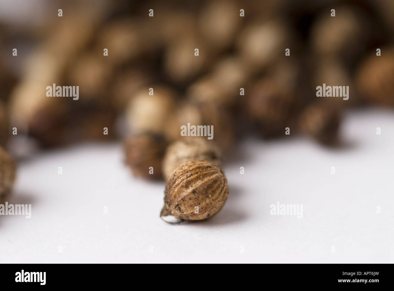 An image of a pile of dried corriander seeds The seeds are used as a ...
