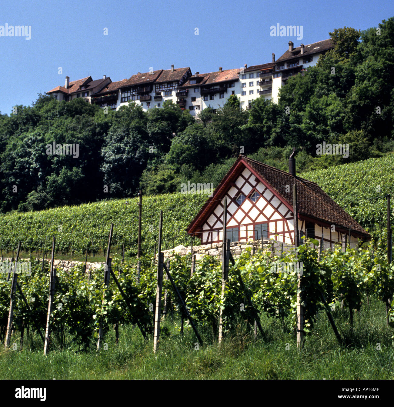 Regensberg Switzerland Swiss Stock Photo - Alamy