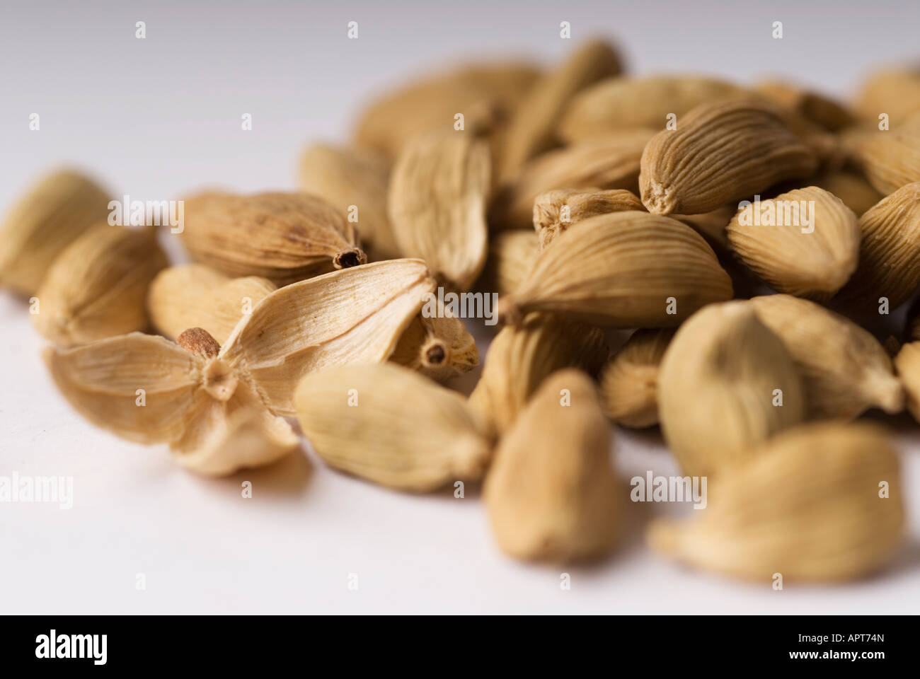 Image of a pile of green cardamom seeds Stock Photo - Alamy