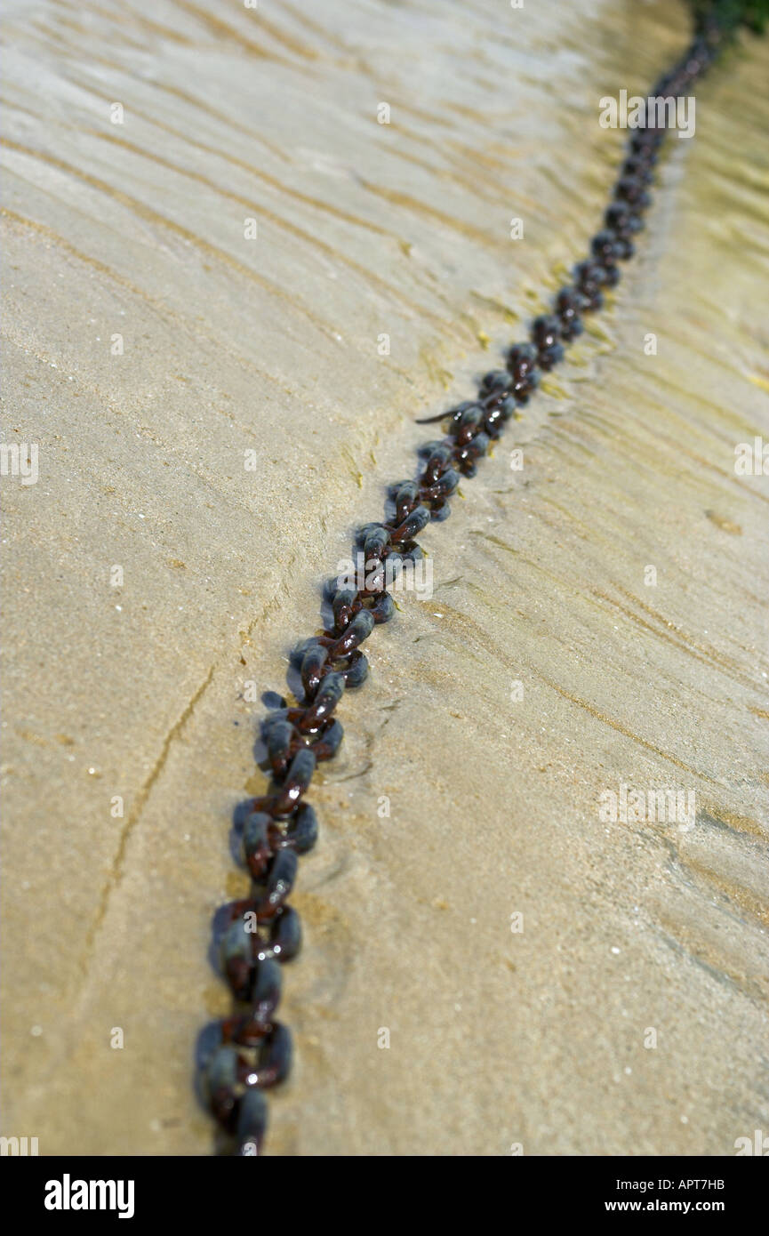 Old metal chain Stock Photo - Alamy