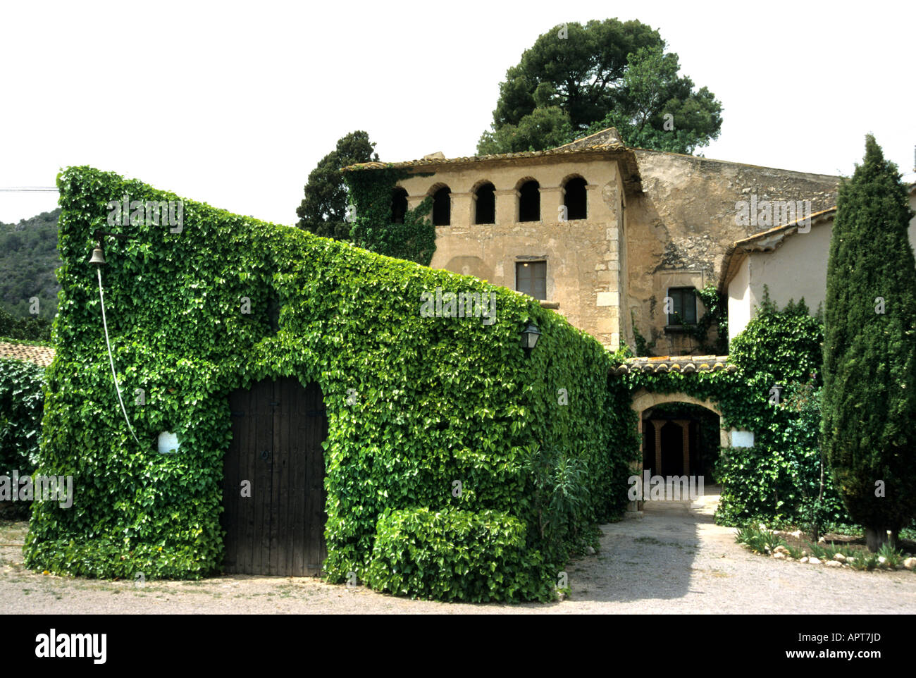 Torres Spain Spanish wine vineyard winery vintage Stock Photo - Alamy