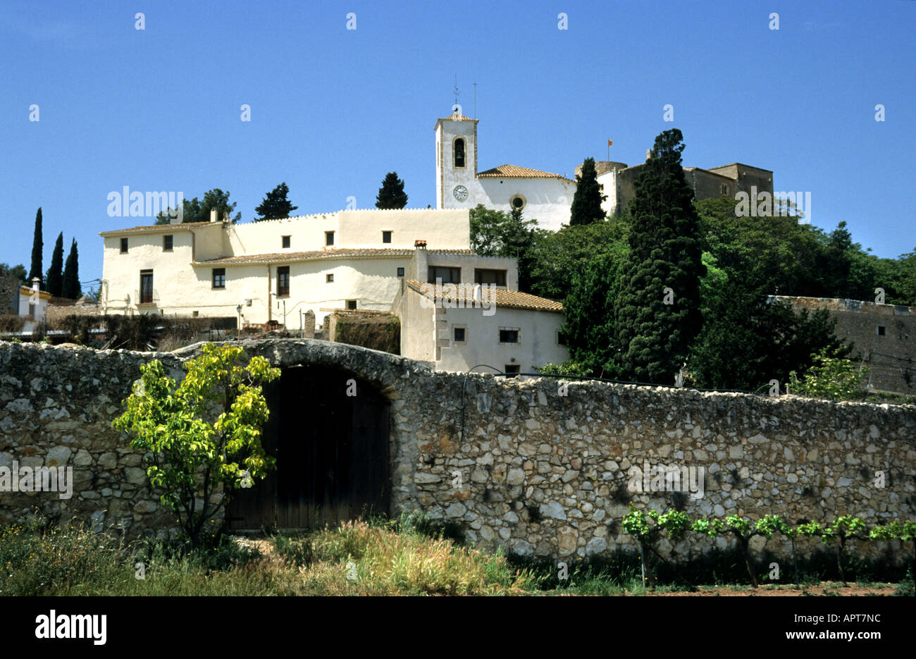 Grapes national hi-res stock photography and images - Alamy