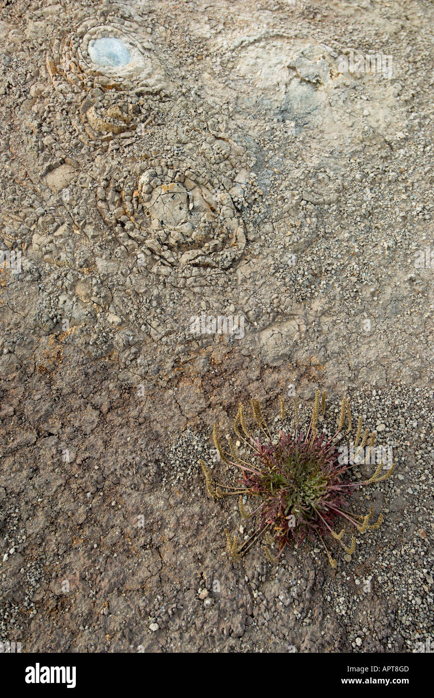 Sismic activity hi-res stock photography and images - Alamy