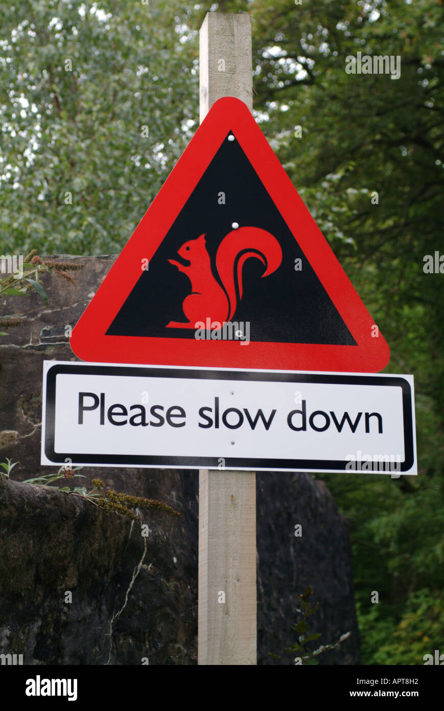Road Sign Warning Red Squirrels High Resolution Stock Photography and ...