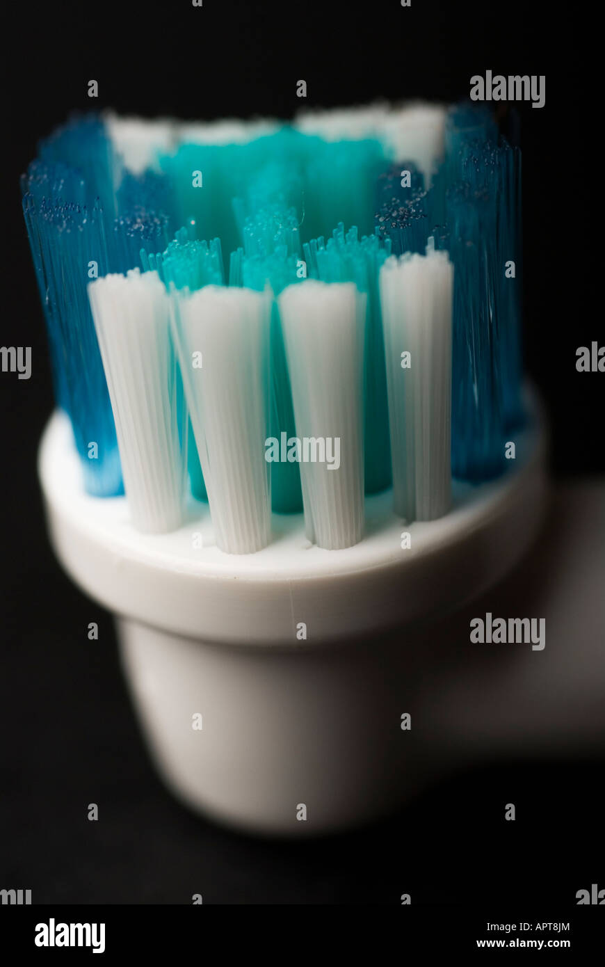 Close up shot of an electronic toothbrush head Stock Photo - Alamy