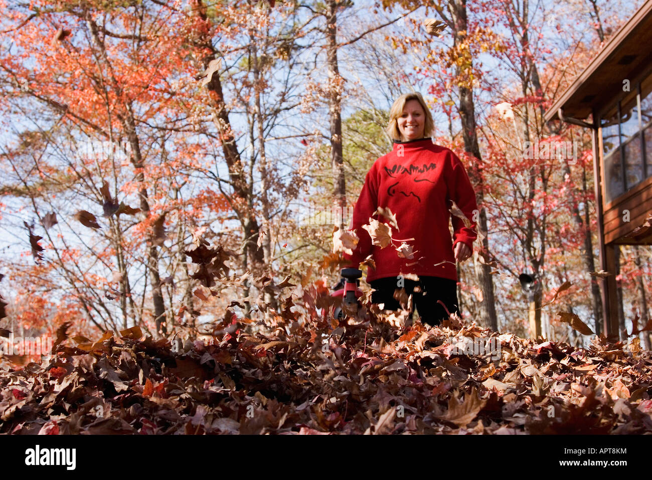 Woman blowing leaves leaf blower hi-res stock photography and images ...
