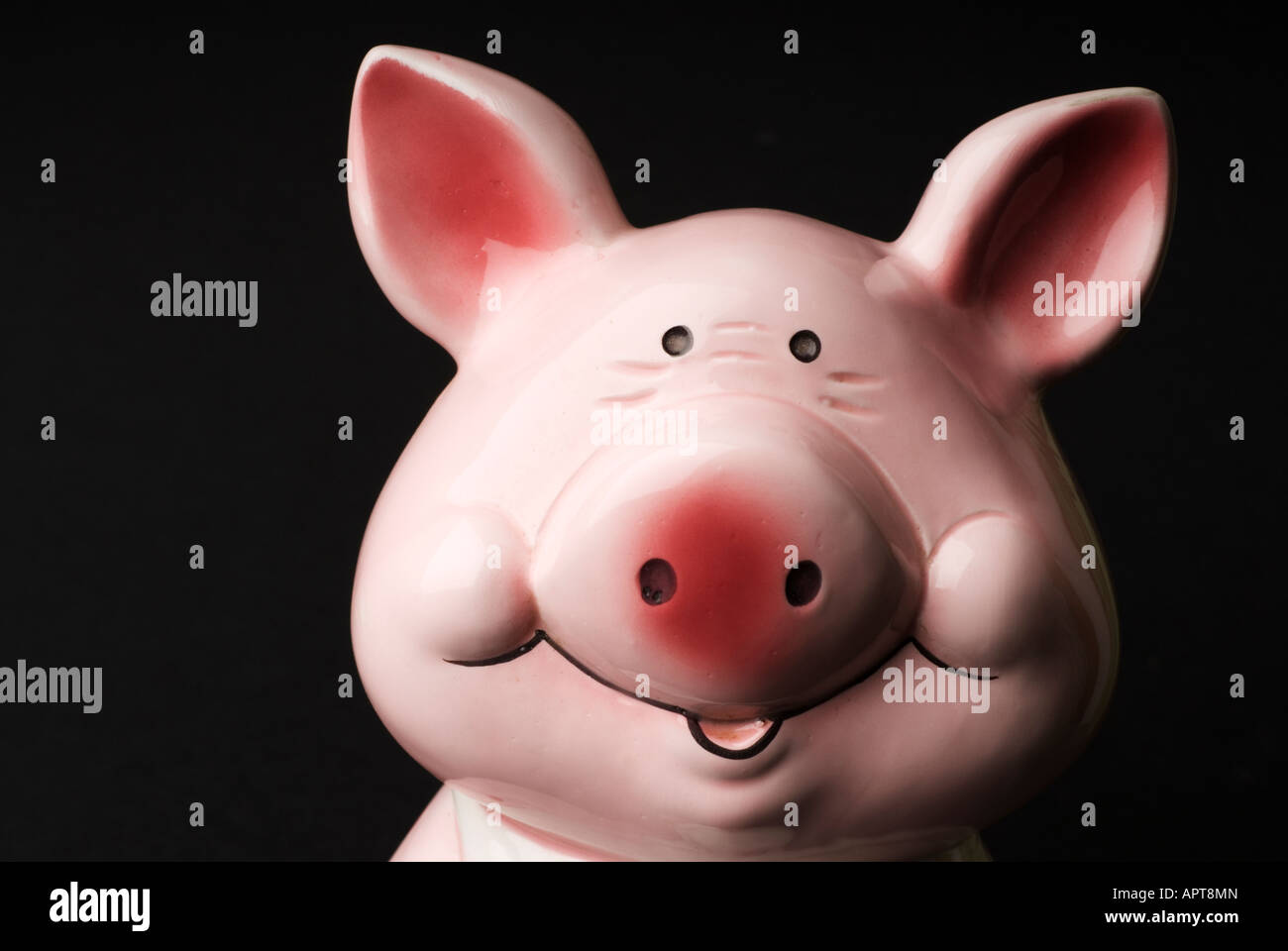 Pig head model hi-res stock photography and images - Alamy
