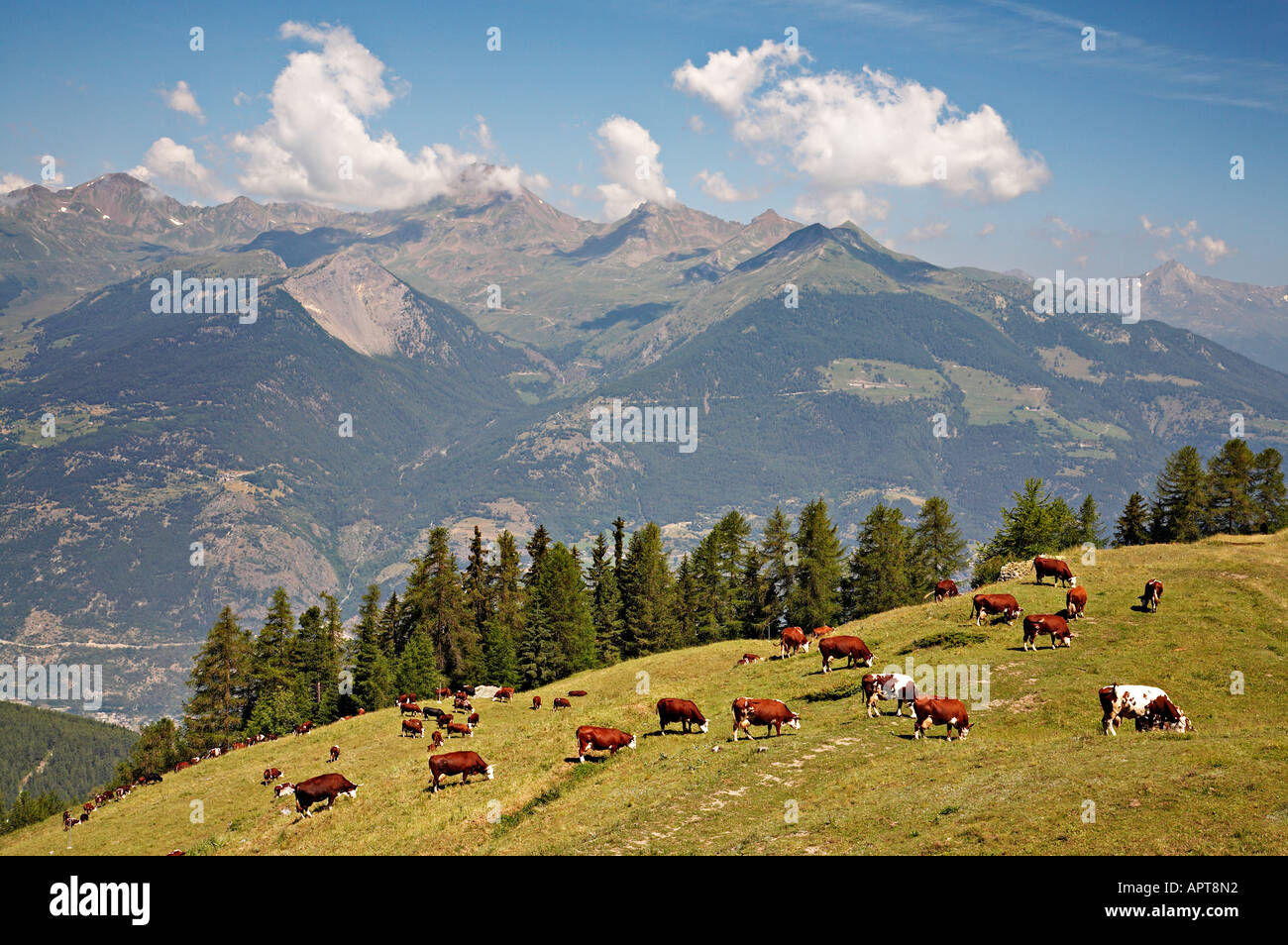 Aosta town pila hi-res stock photography and images - Alamy