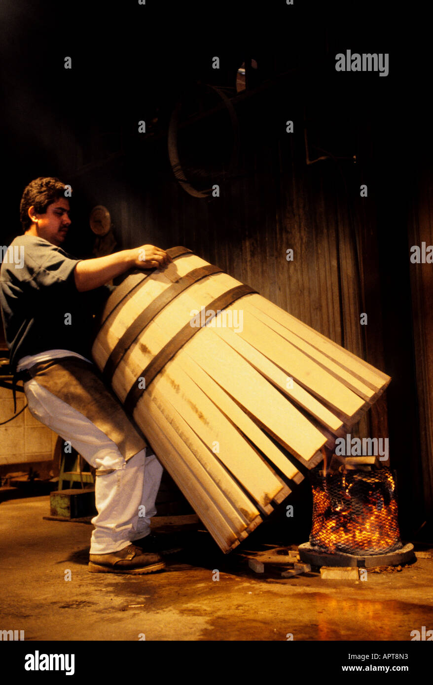 Cooperage cognac whiskey whisky cask barrel cellar Stock Photo - Alamy