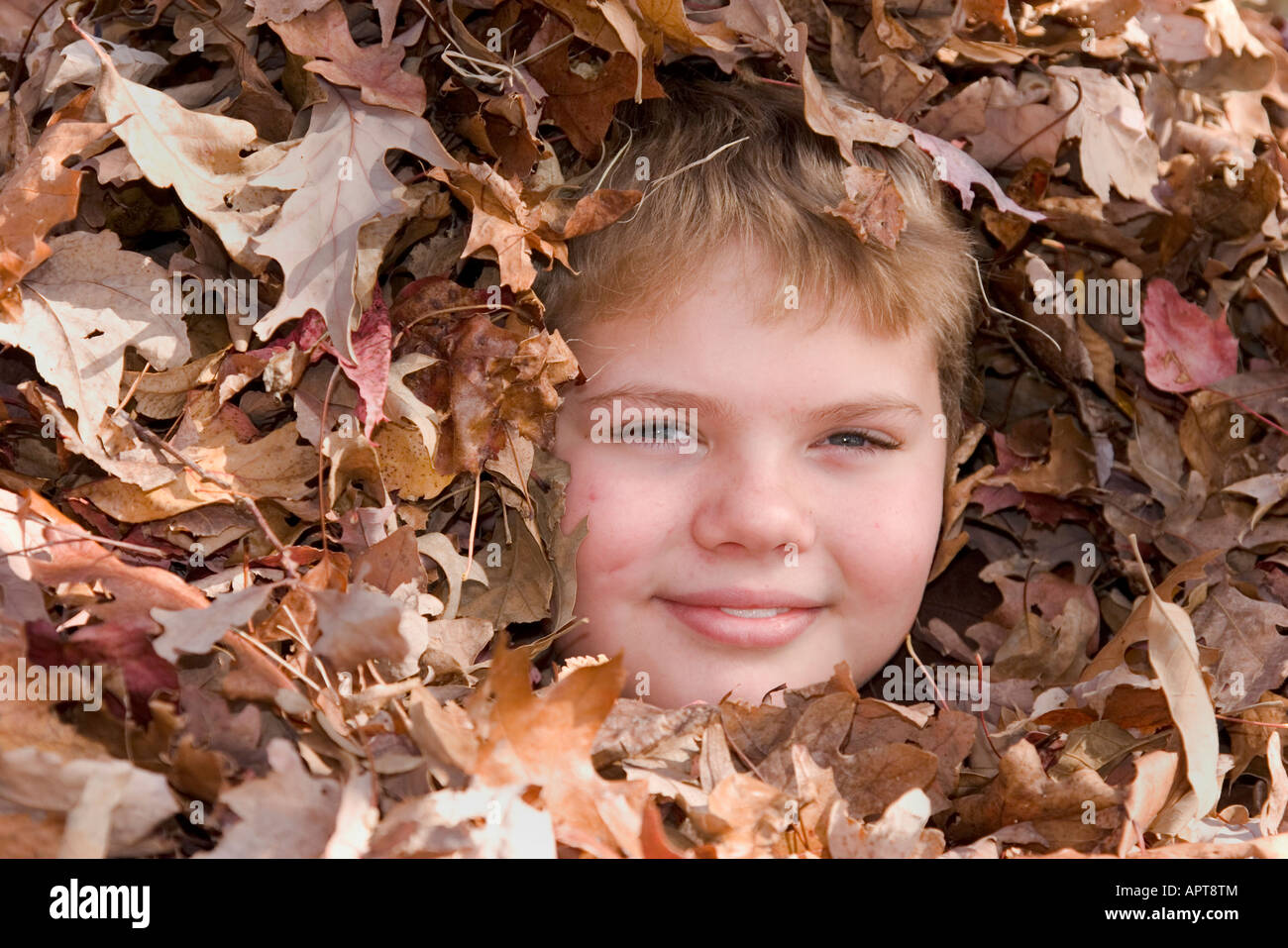 Little boy hiding in a leaf pile Stock Photo - Alamy