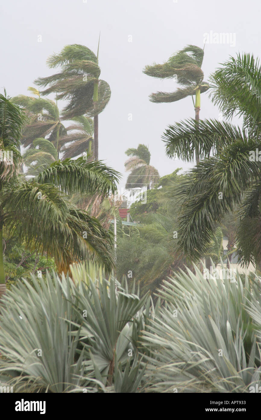 Miami Beach Florida,Lincoln Road mall,dining,entertainment,performance ...