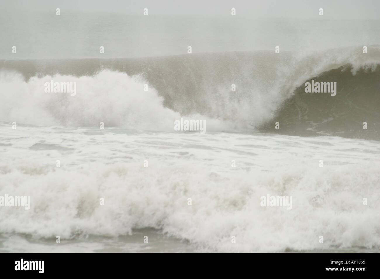 Hurricane coast waves florida hi-res stock photography and images - Alamy
